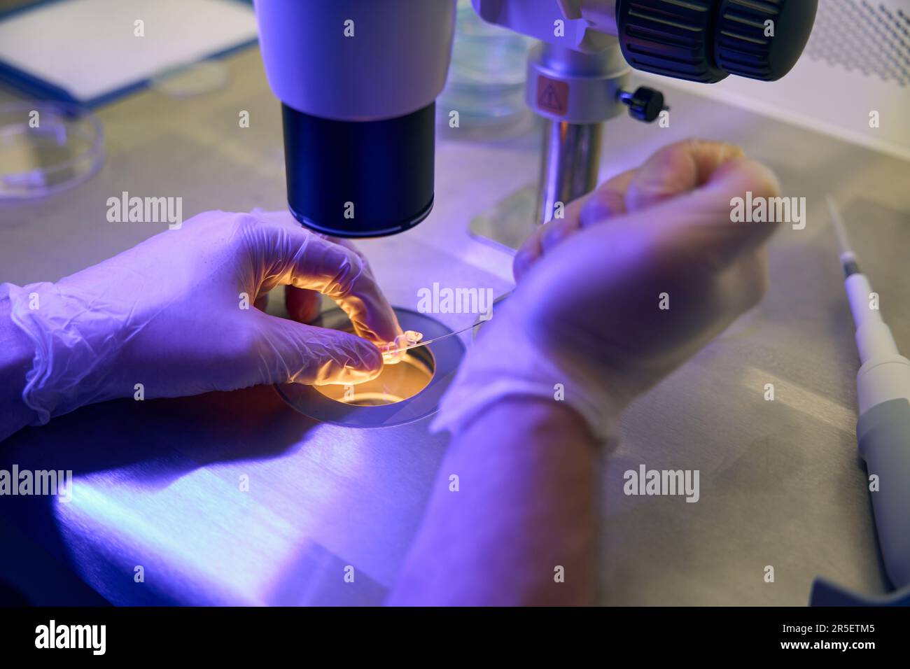 Biolaboratory technician adding samples after studying to test-tube ...