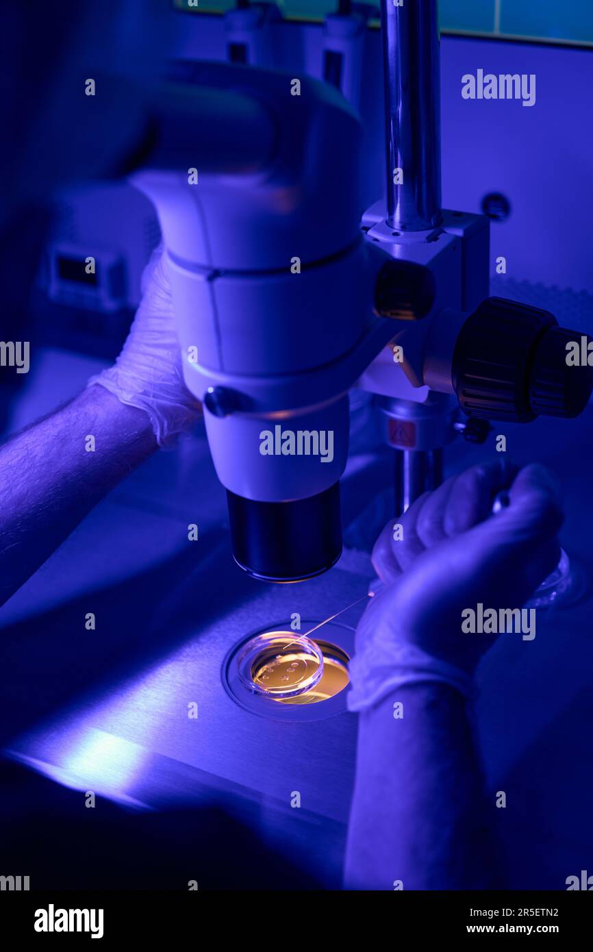 Genetic abnormalities laboratory worker examining cells under ...
