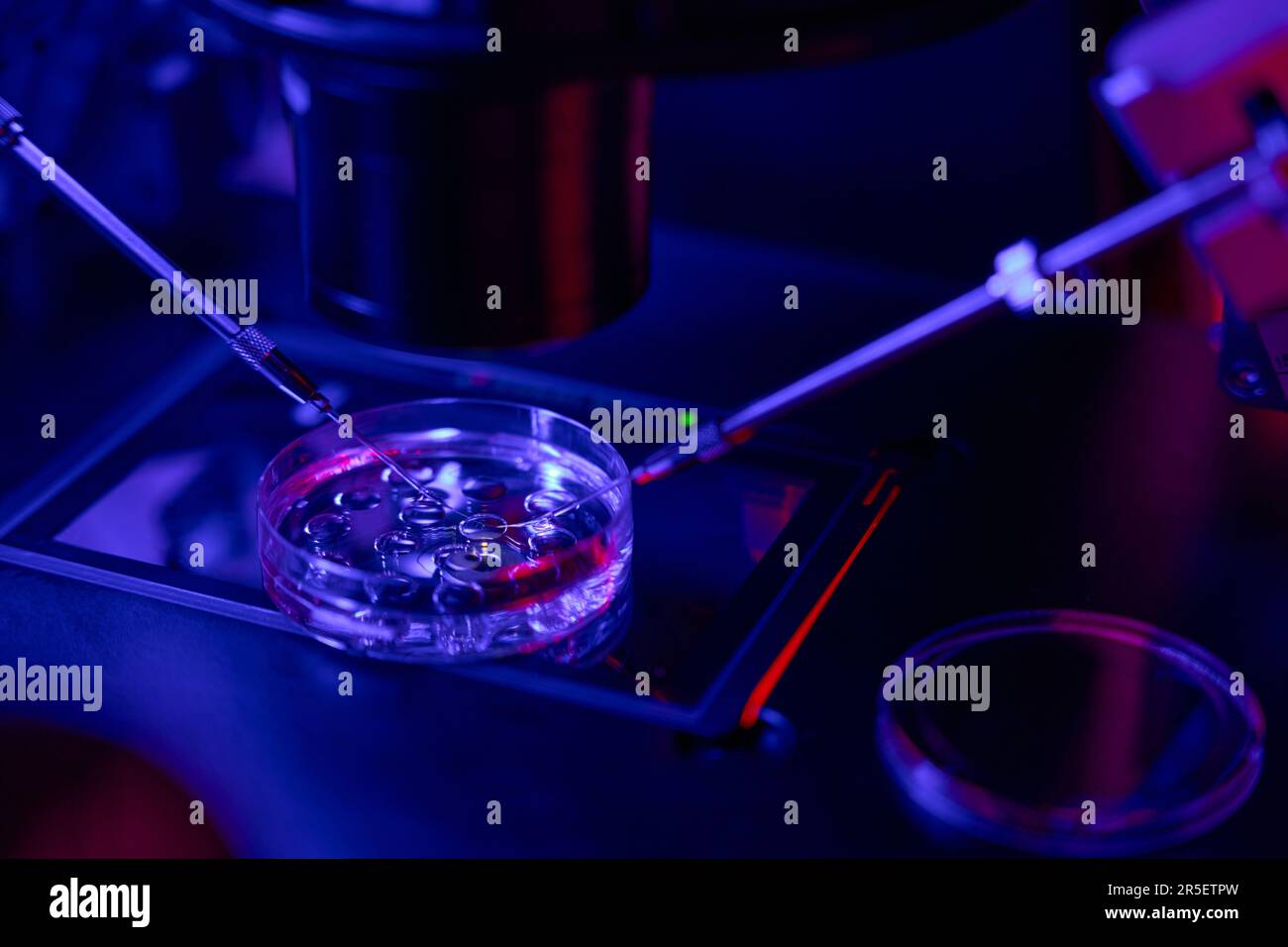 Close-up micromanipulator doing fertilization of female cell Stock ...