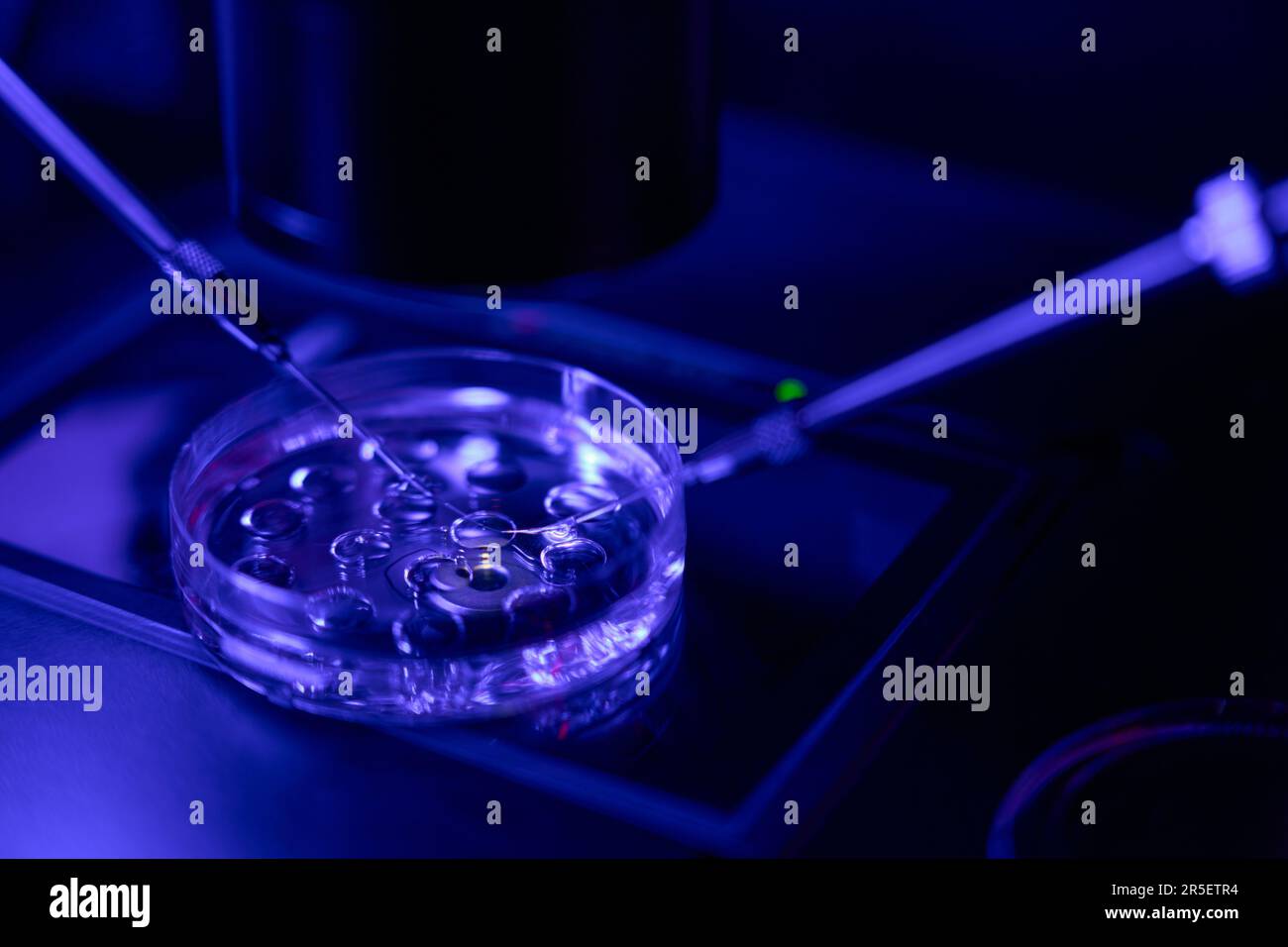 Reproductology laboratory worker micromanipulating with cells in clinic ... Reproductology laboratory worker micromanipulating with cells in clinic ...