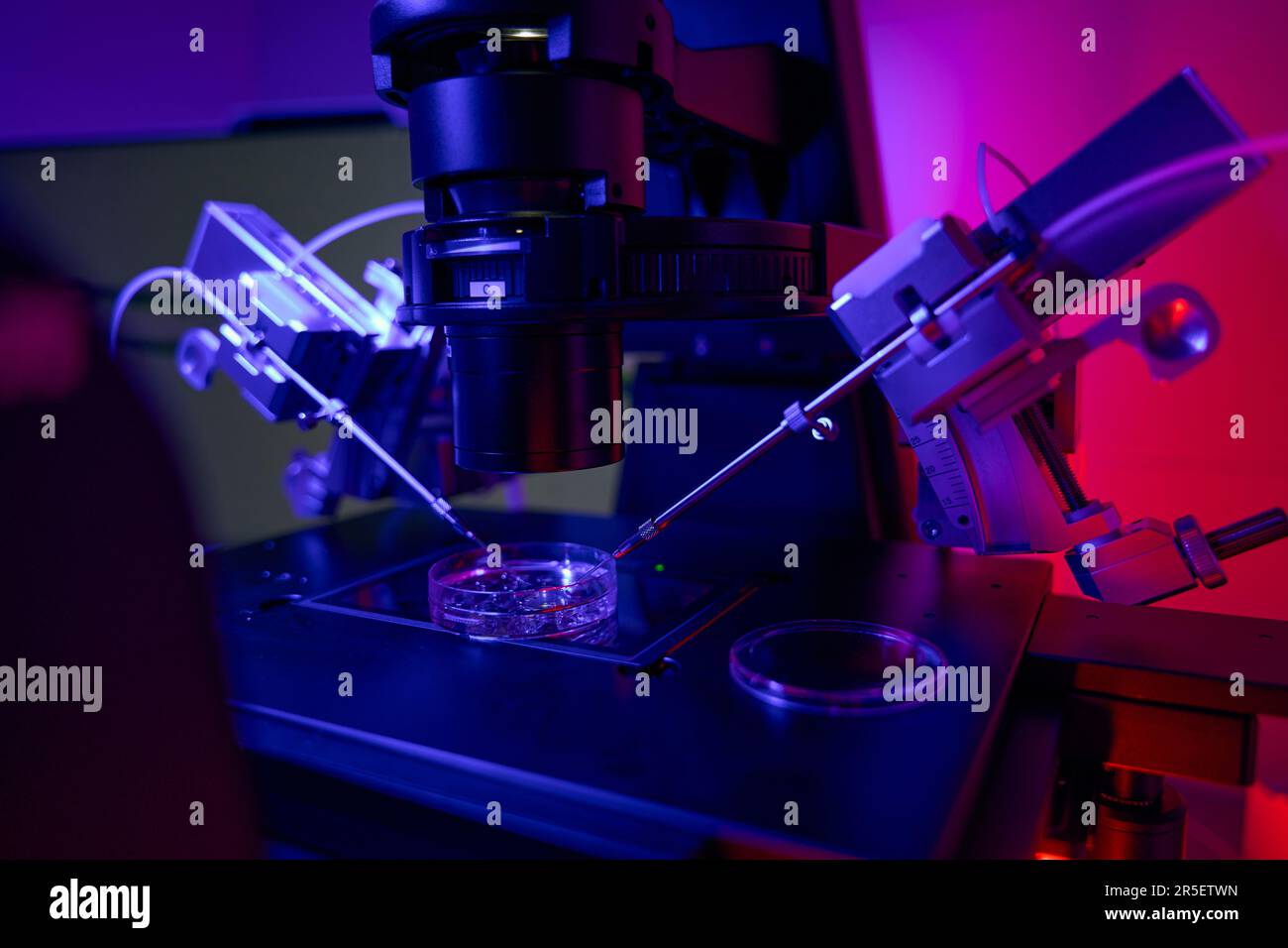 Cells fertilizing with help of micromanipulators in lab Stock Photo - Alamy