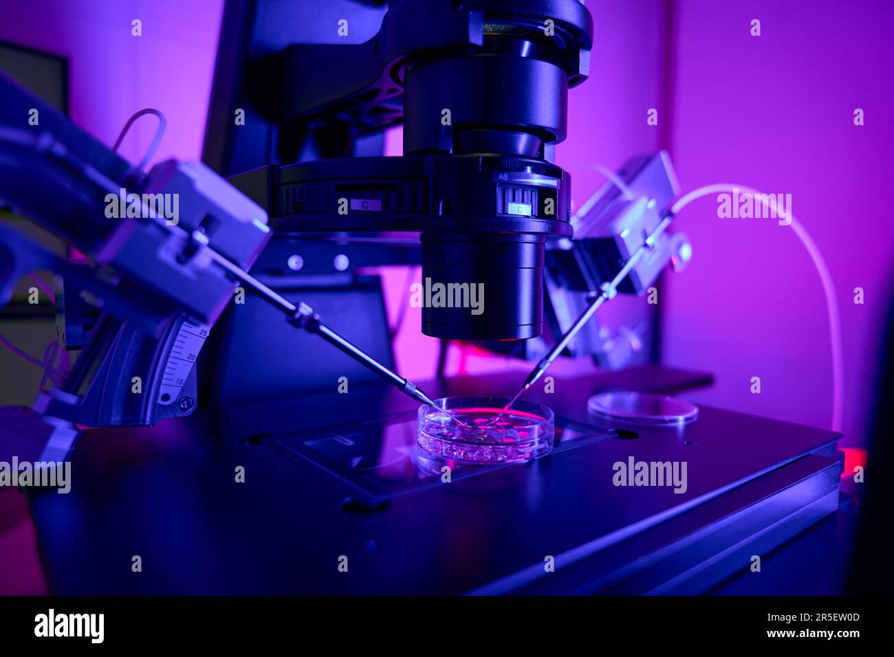Embryo tests in reprudoctology laboratory in clinic Stock Photo - Alamy