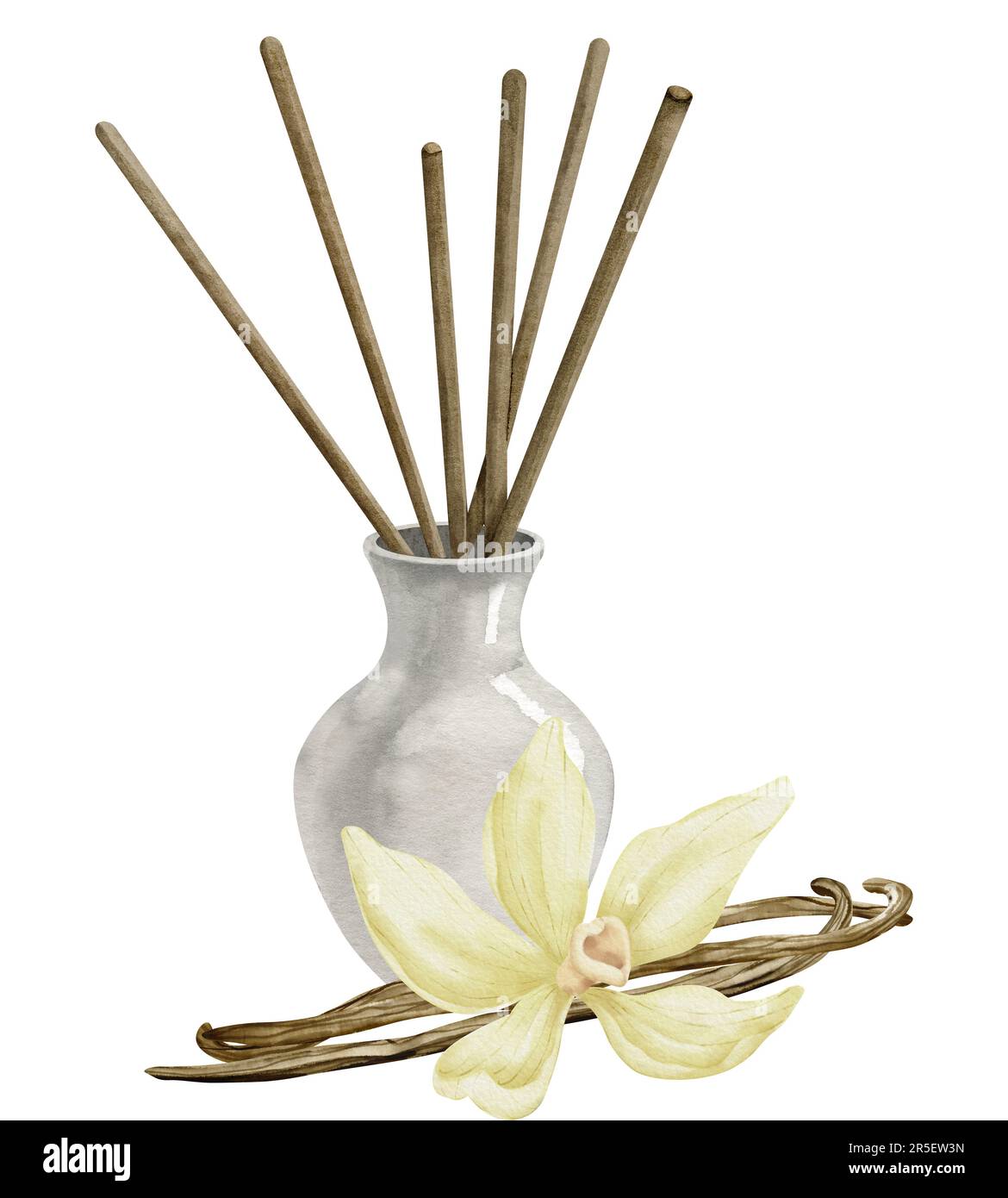 Diffuser with Vanilla flowers and Sticks. Hand drawn watercolor ...