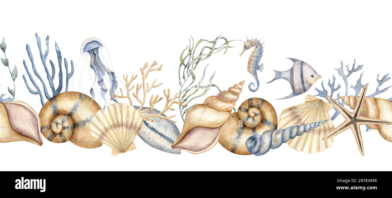 Beach Shell Borders