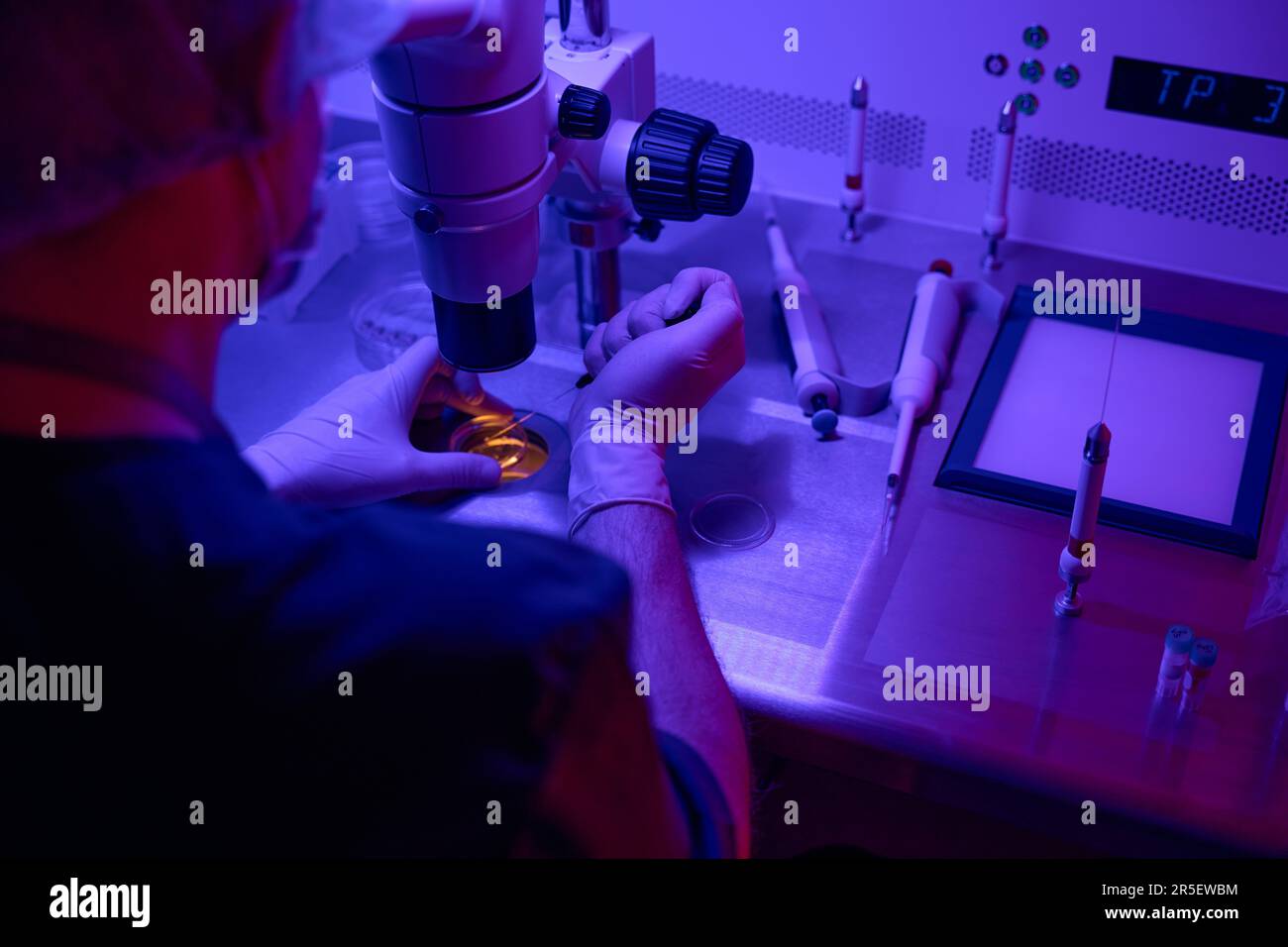Top view laboratory worker using capillary holder to make injection ...