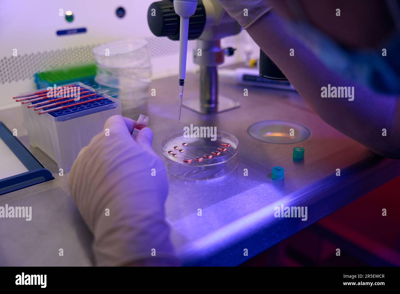 Embryologist working with biomaterial in the clinic Stock Photo - Alamy