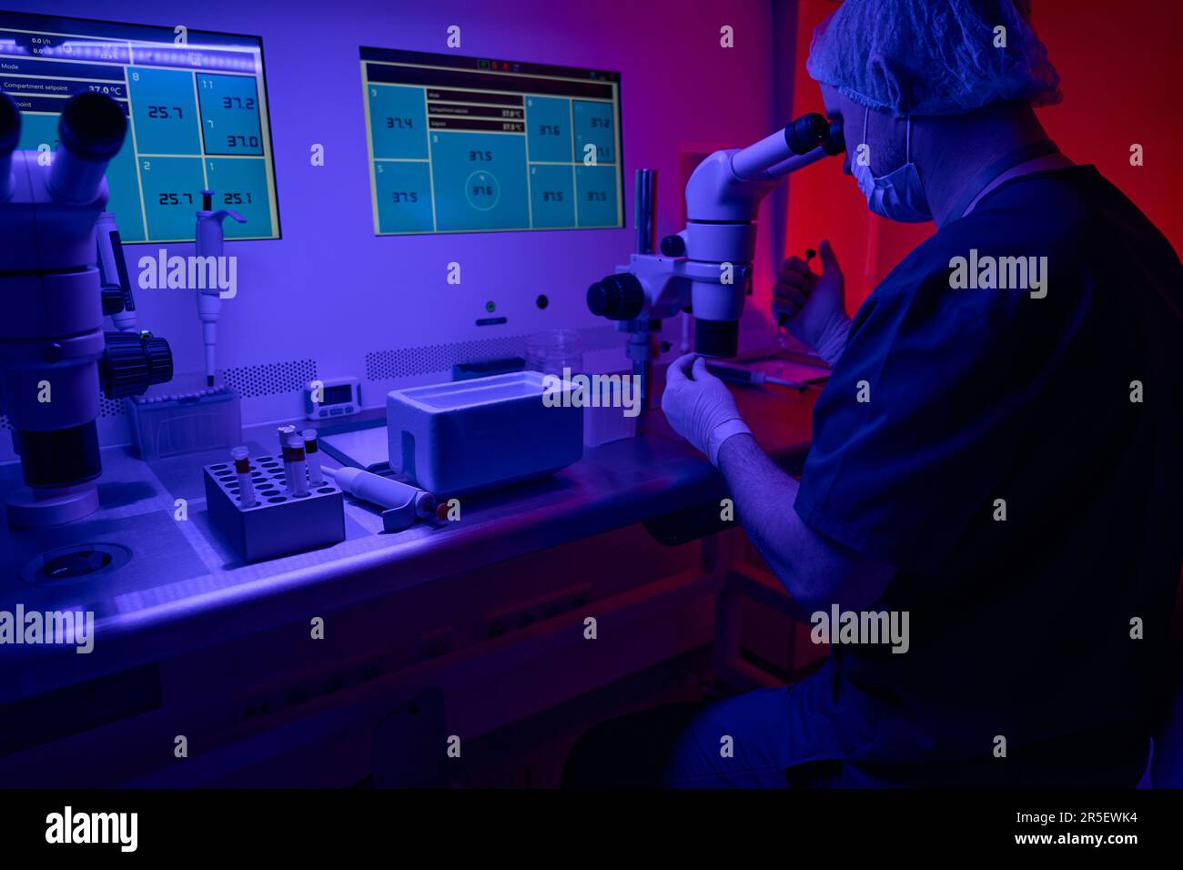 Genetic laboratory worker studying embryos before cryopreservation ...