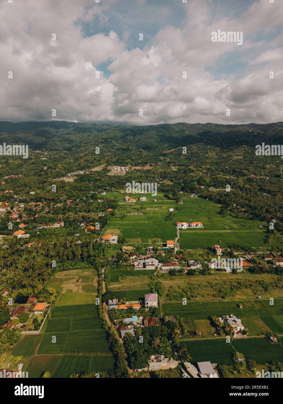 Aerial view of green valley with rolling hills, trees, and houses ...