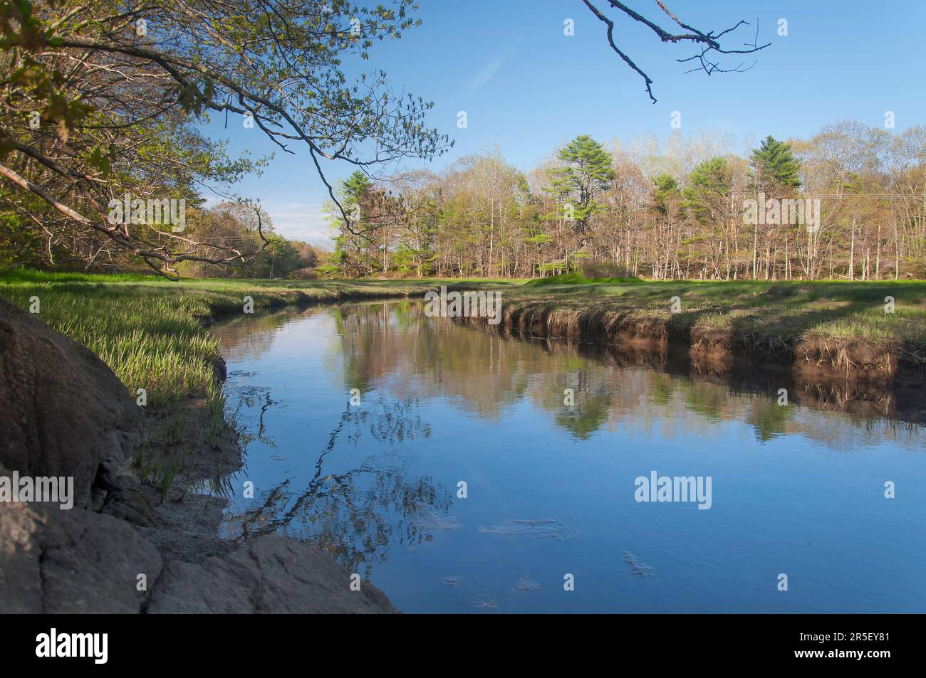 Wildcat Creek running through a wetland marsh in zak preserve on a ...