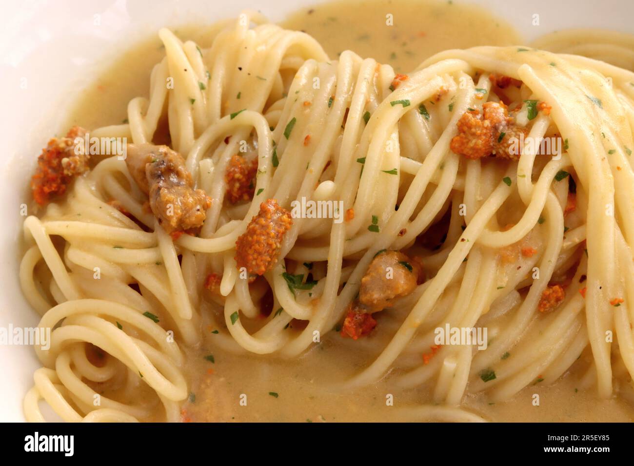Spaghetti with sea urchins. Italian pasta dish, Apulian cuisine Stock ...
