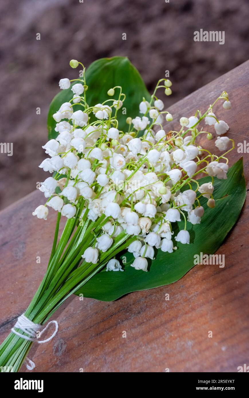 Lily of the valley bouquet - wedding or holiday background - Flowers of ...