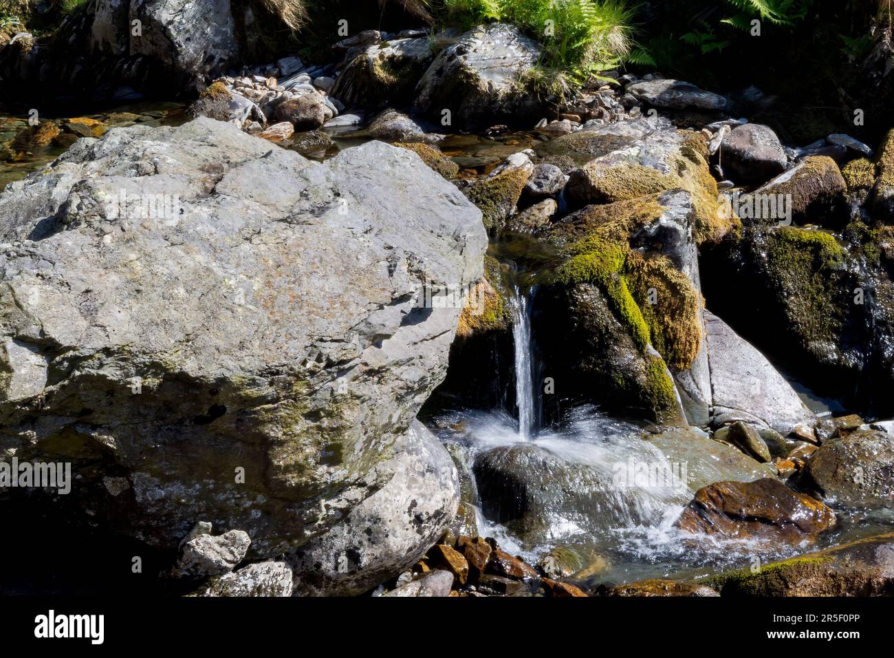 Trickling creek hi-res stock photography and images - Alamy