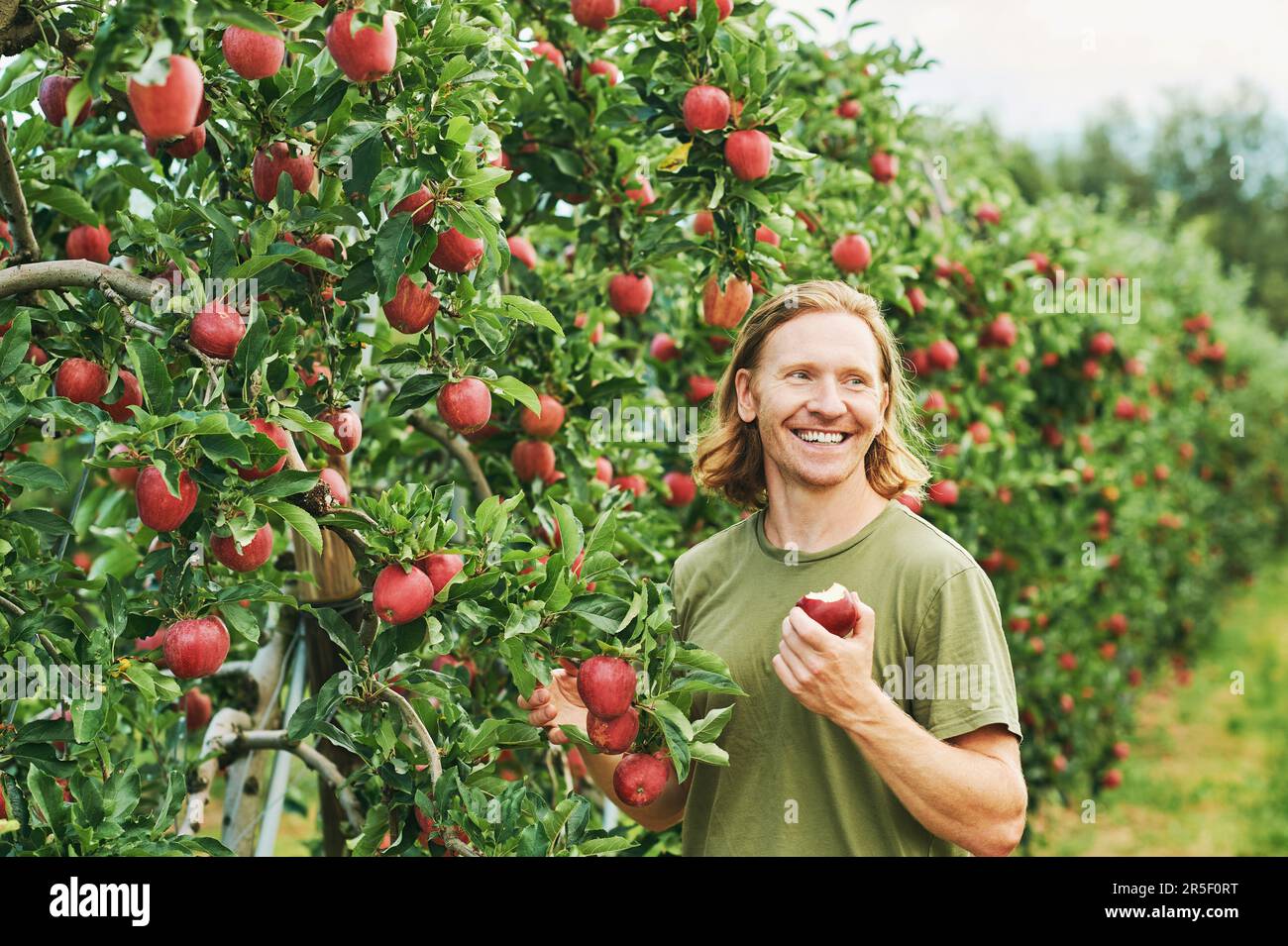 Outdoor portrait of handsome young man harvesting apples in fruit ...