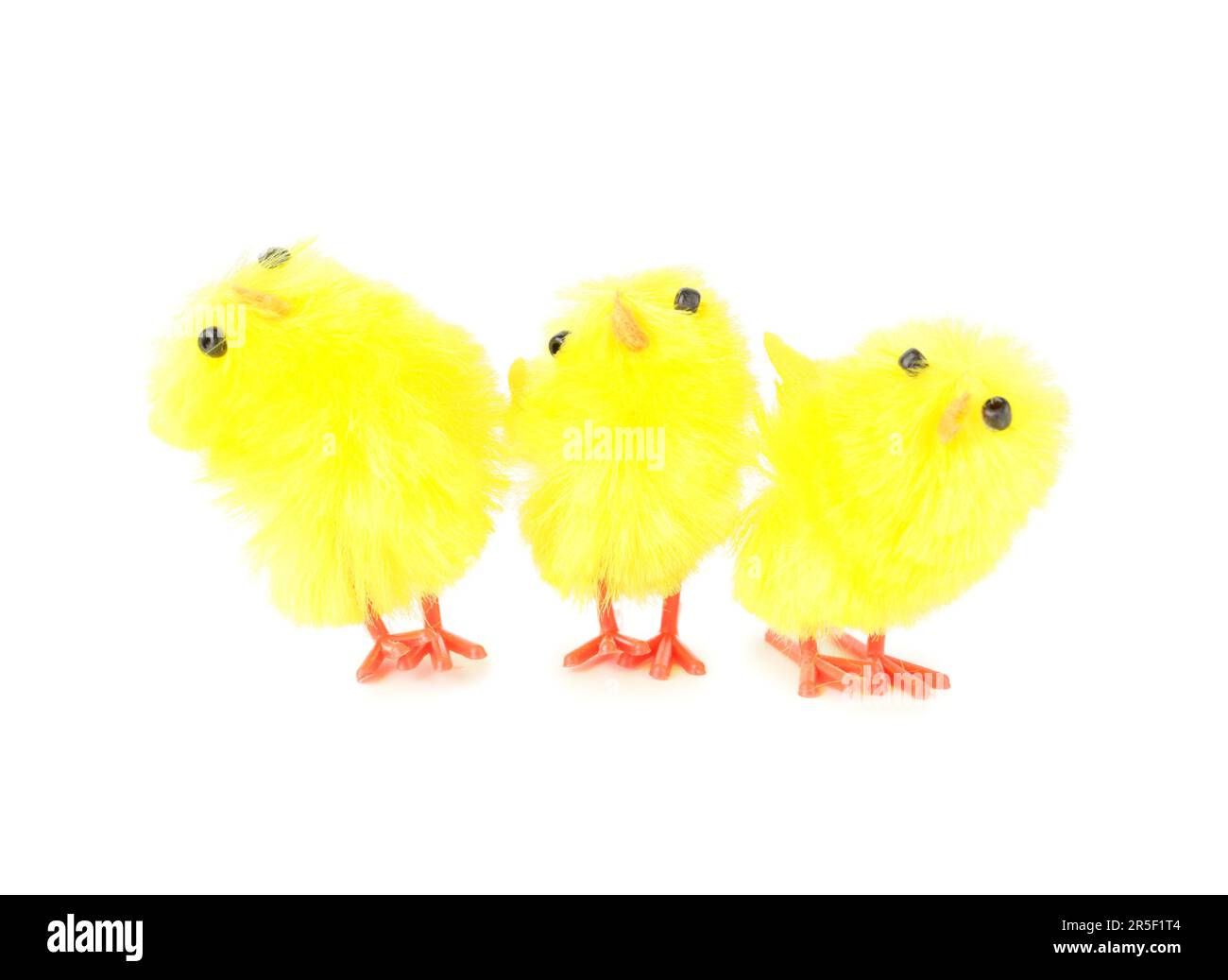Decorative chicks Cut Out Stock Images & Pictures - Alamy