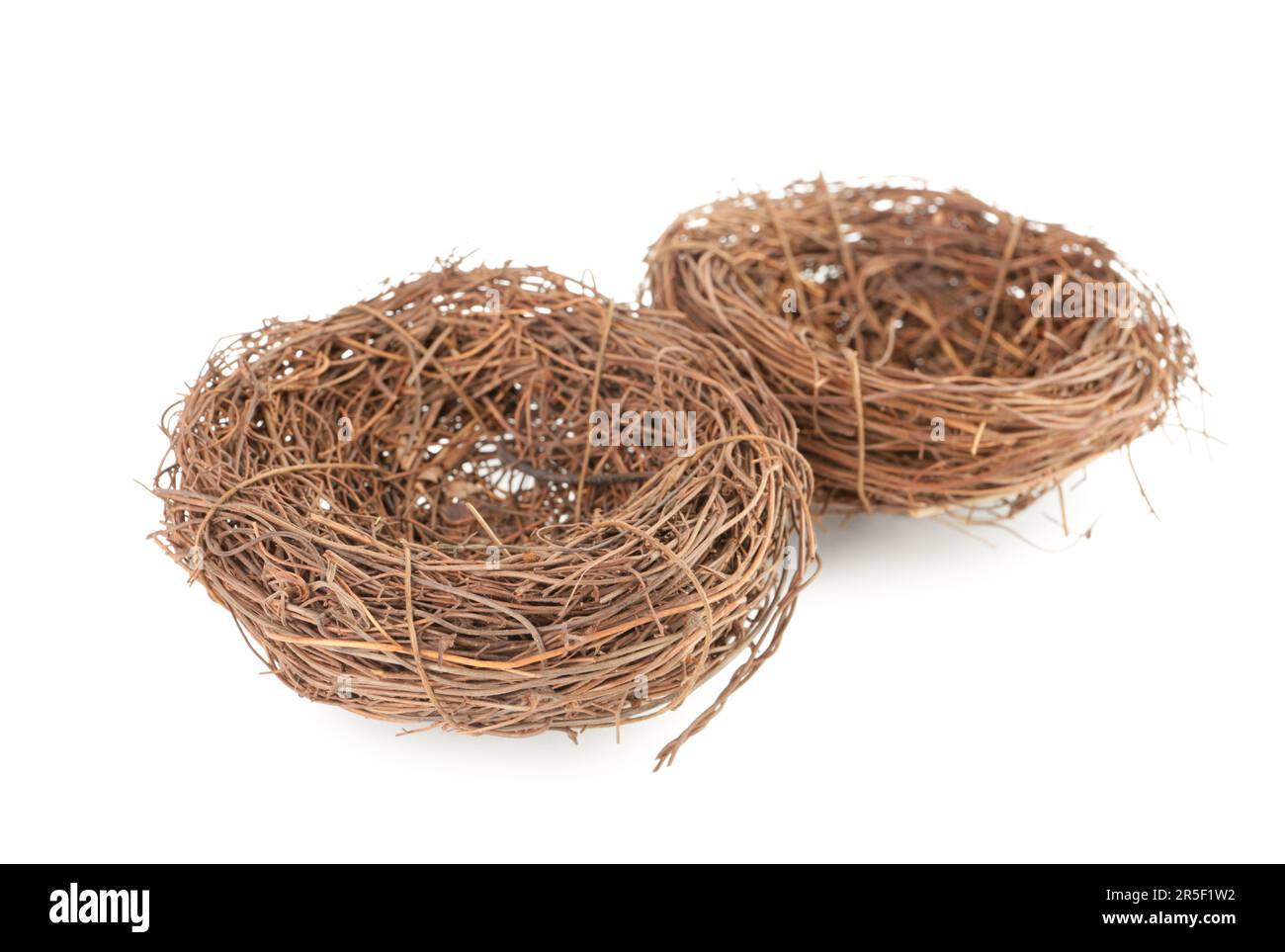 Empty nests isolated on white background Stock Photo - Alamy