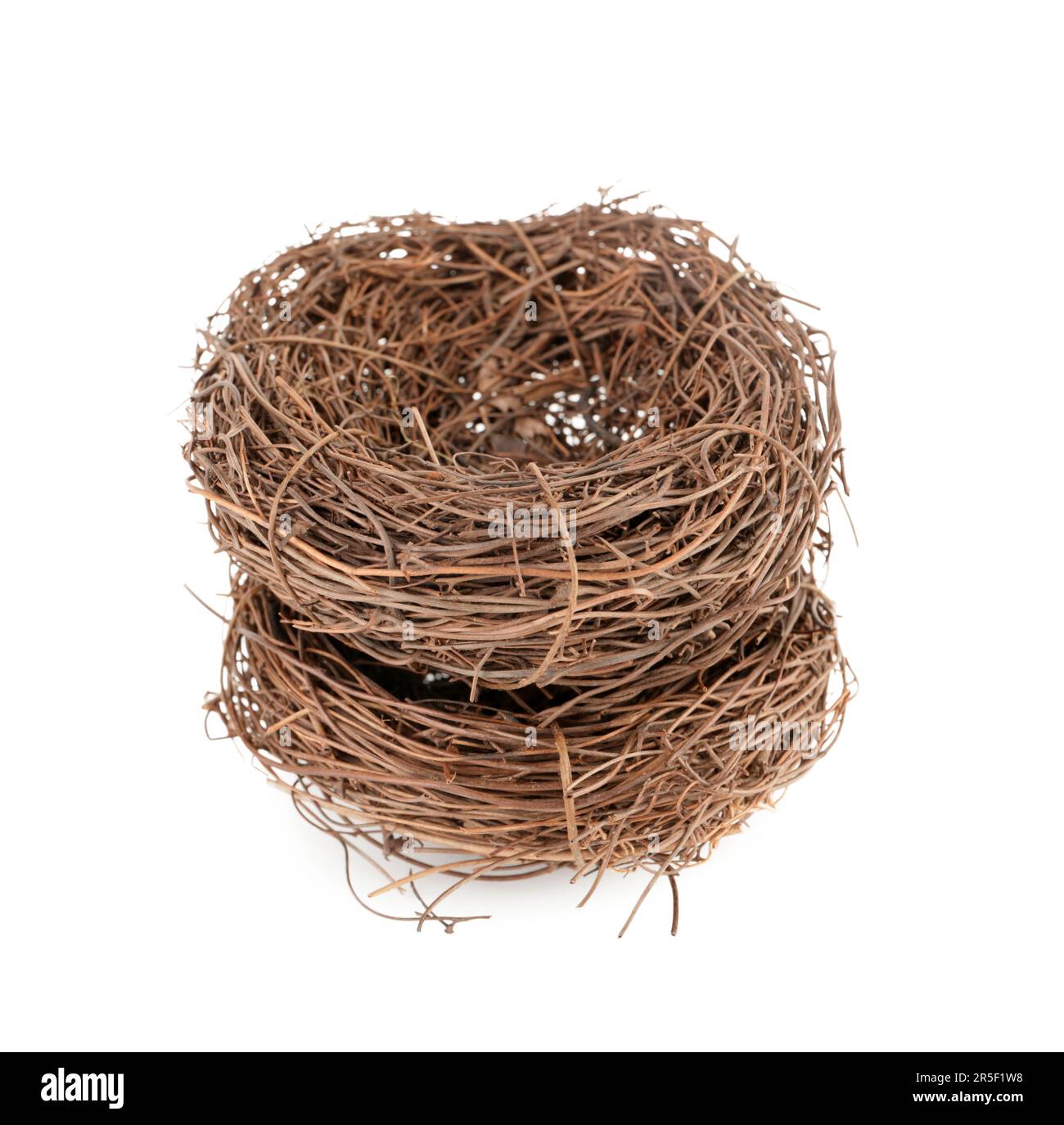 Nests on tree branches Cut Out Stock Images & Pictures - Alamy