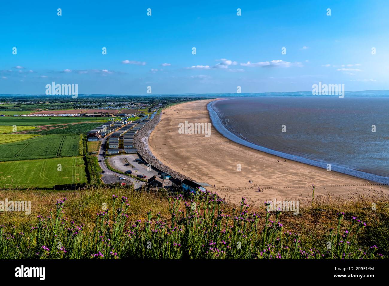 Brean beach Somerset with pink flowers England UK tourist destination ...
