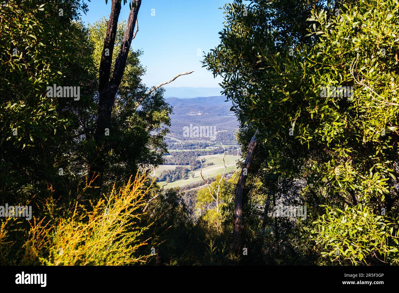 Mount Sugarloaf Ridge Track in Melbourne Australia Stock Photo - Alamy