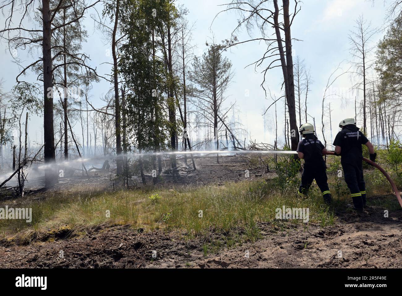 03 June 2023, Brandenburg, Jüterbog: Two firefighters on duty at the ...