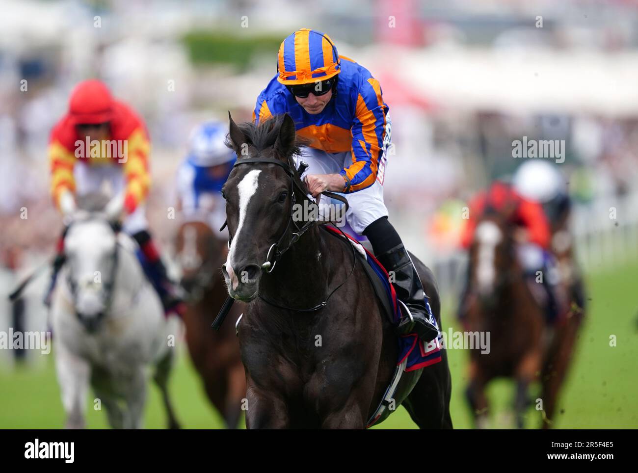Auguste rodin horse hi-res stock photography and images - Alamy