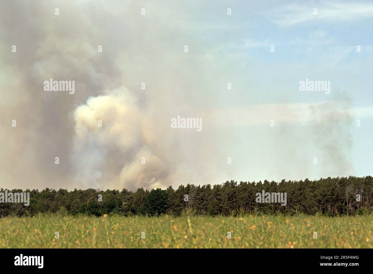 03 June 2023, Brandenburg, Jüterbog: Several columns of smoke rise ...