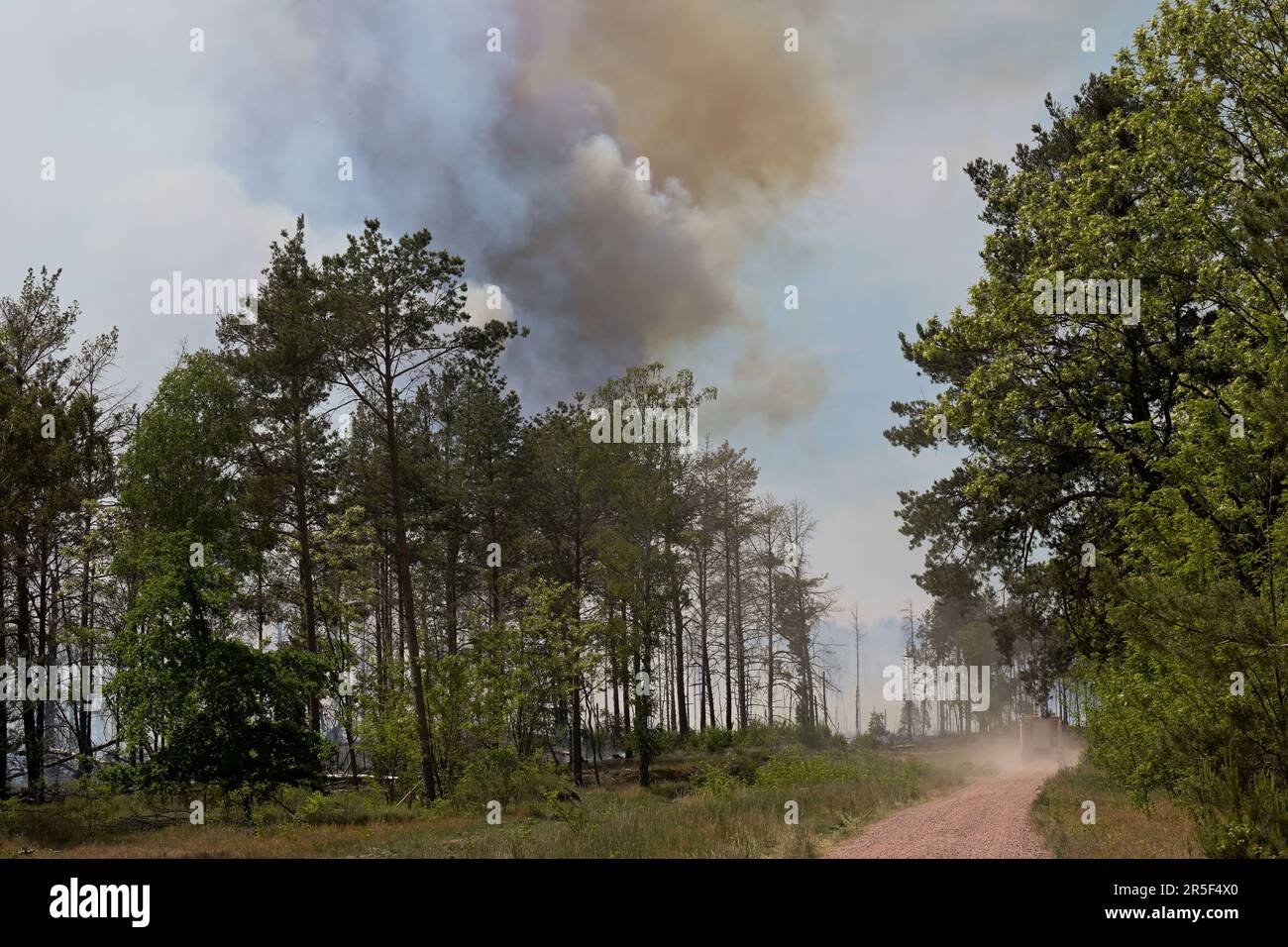 03 June 2023, Brandenburg, Jüterbog: A fire engine drives through a ...
