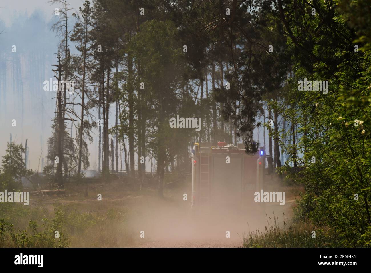 03 June 2023, Brandenburg, Jüterbog: A fire truck drives through a ...