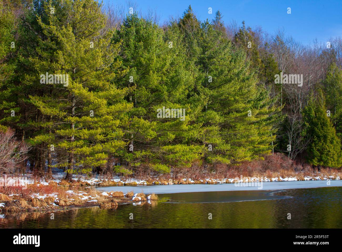 Lower Lake during the spring ice melt at Promised Land State Park in ...