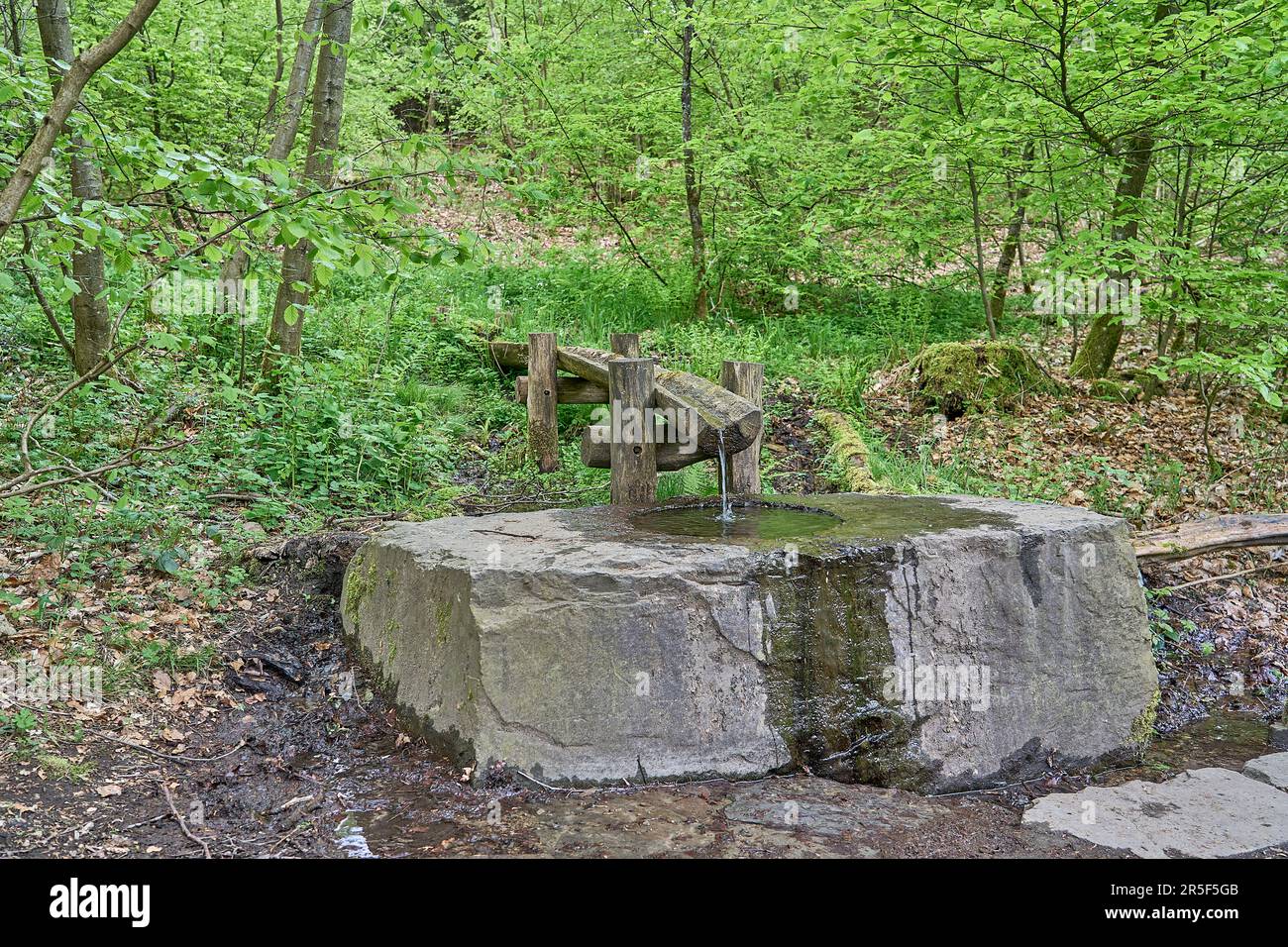 Siegquelle is the source of the river Sieg in the Rothaargebierge ...