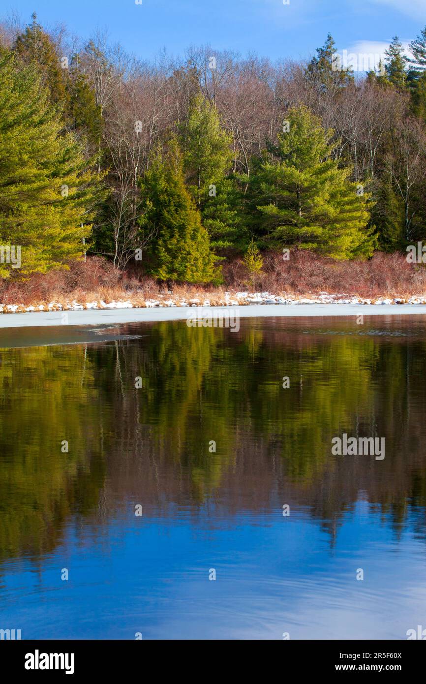 Lower Lake during the spring ice melt at Promised Land State Park in ...