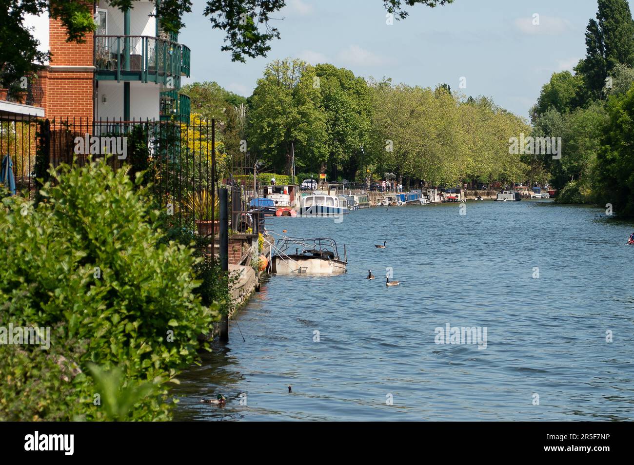Maidenhead, UK. 3rd June, 2023. Two boats have been destroyed by fire ...