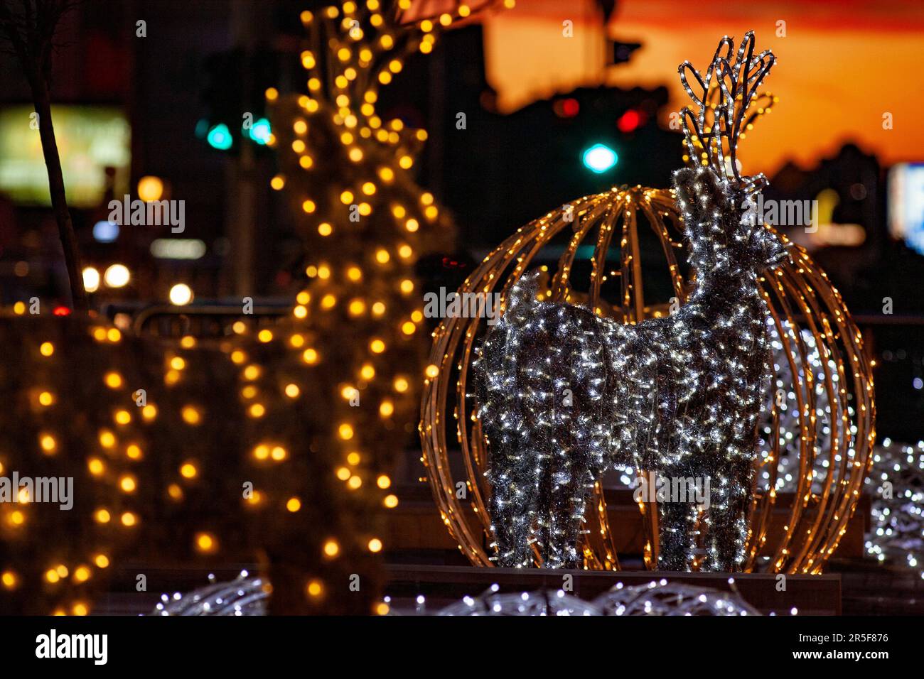 Small led lights hanging, Night Light Effects, hinge lights hanging in ...