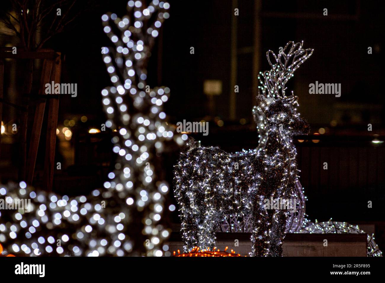 Small led lights hanging, Night Light Effects, hinge lights hanging in ...