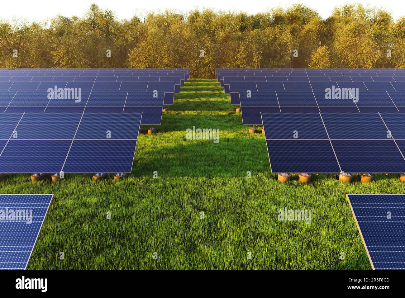 Rows of solar panels on a green meadow against the background of trees ...