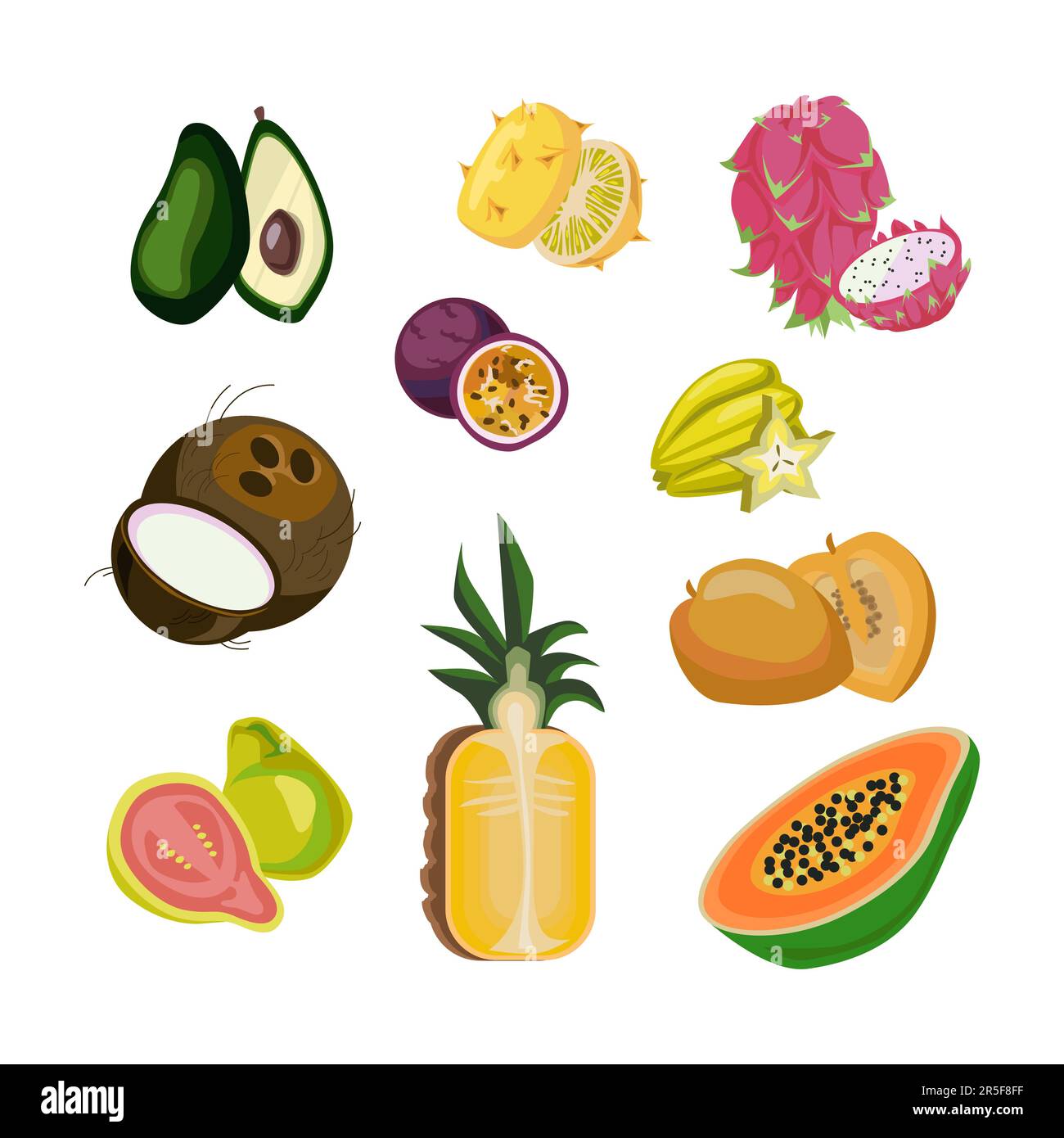 Caribbean fruit plant Stock Vector Images - Alamy