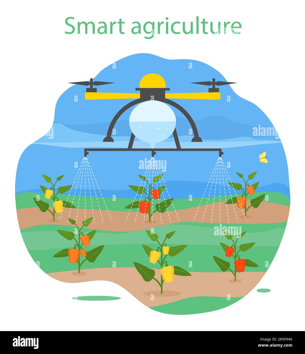 Agricultural drone fly to spray fertilizer water or holmone on field ...