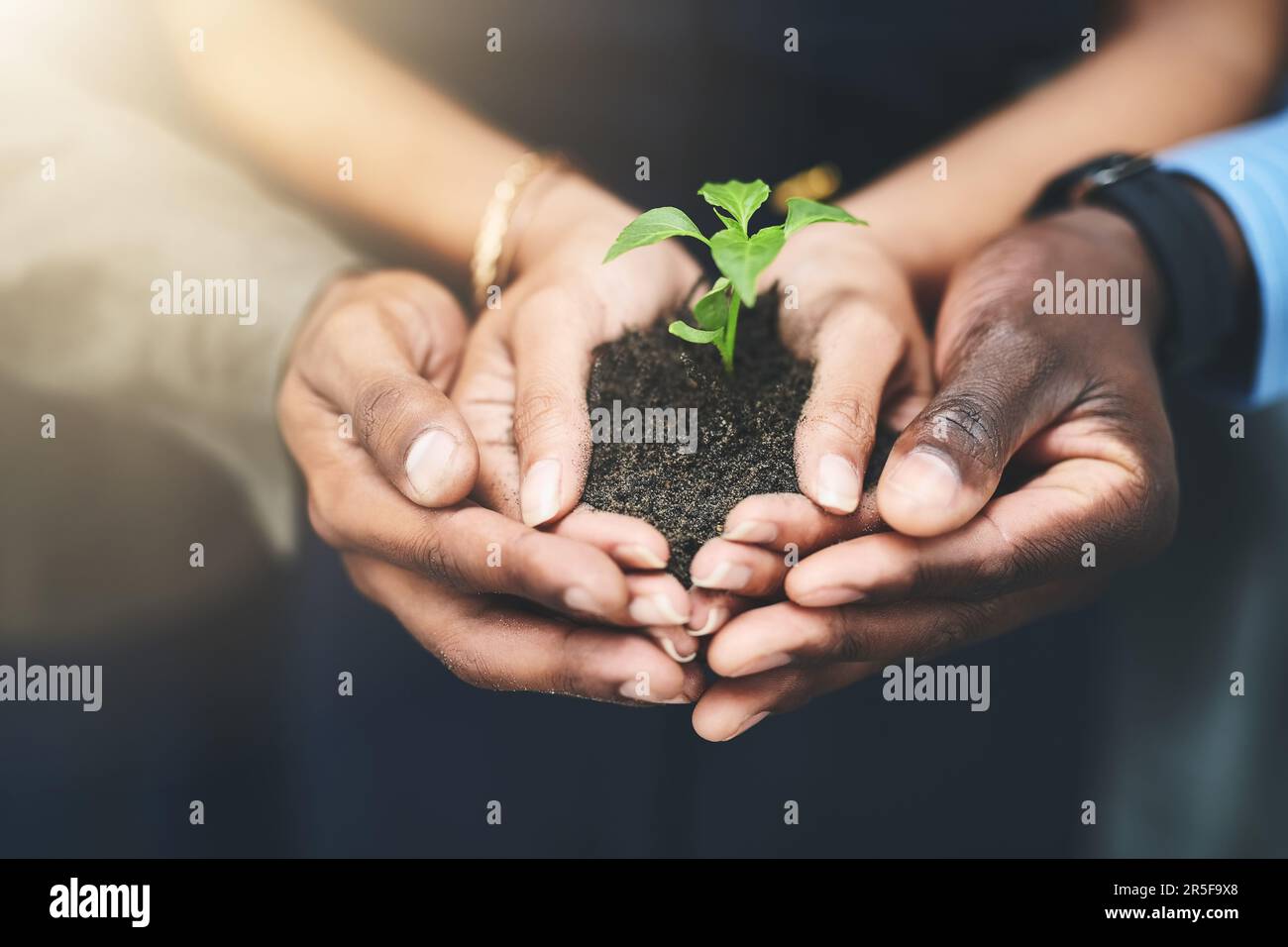 Teamwork is the secret to growth. a group of people holding plants ...