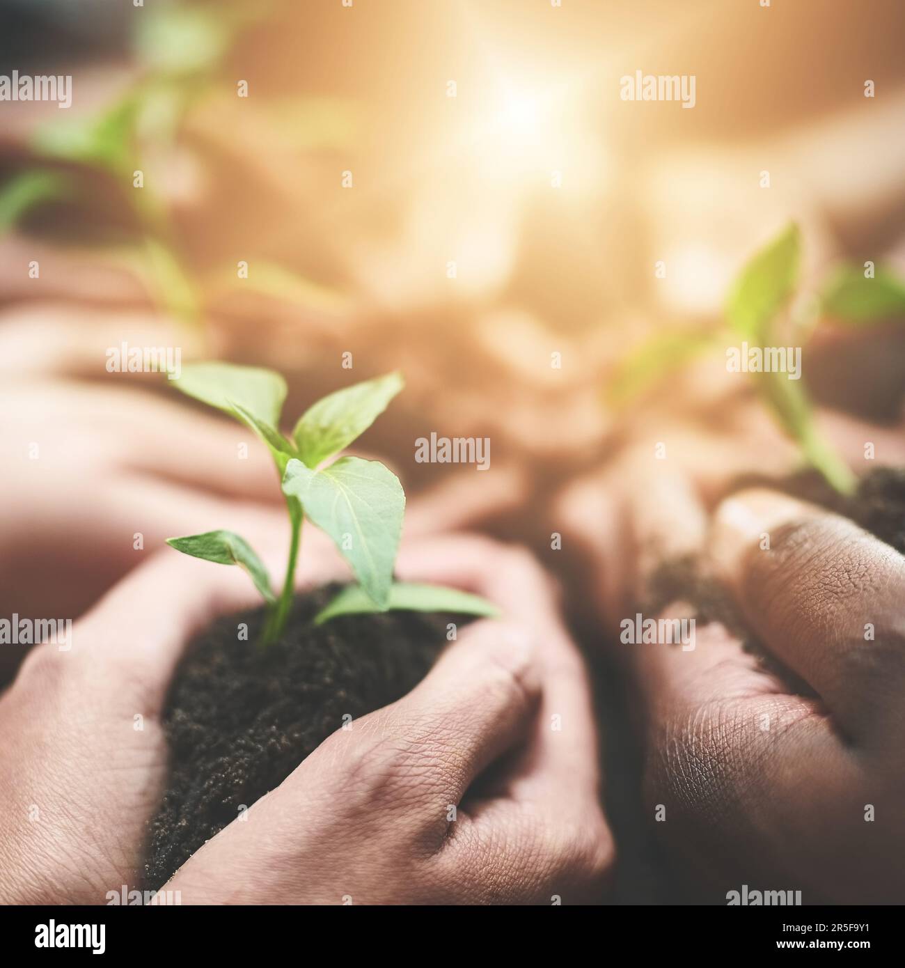 Teamwork makes a business flourish. a group of people holding plants ...