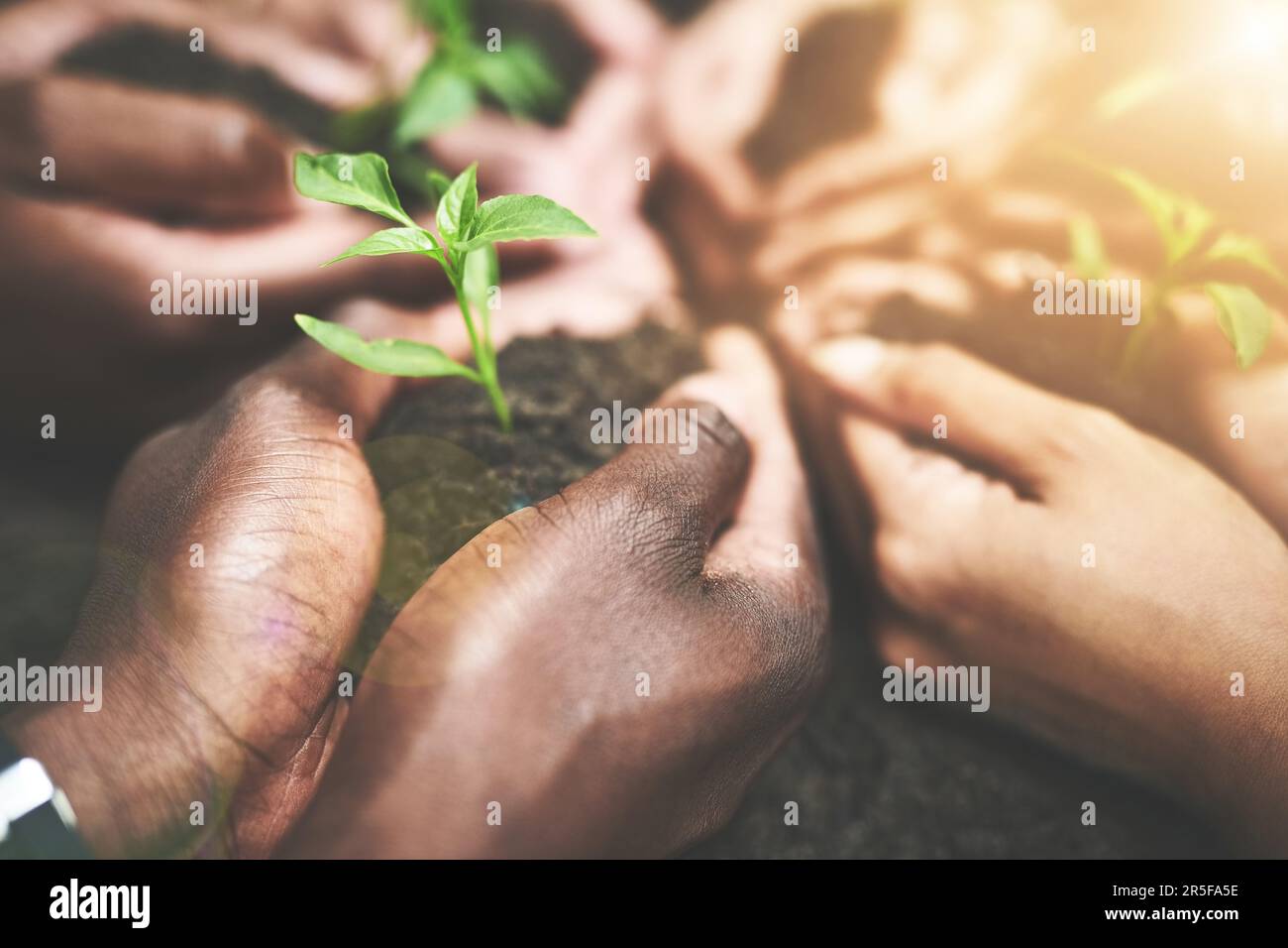 Life is precious, lets all protect it. a group of people holding plants ...