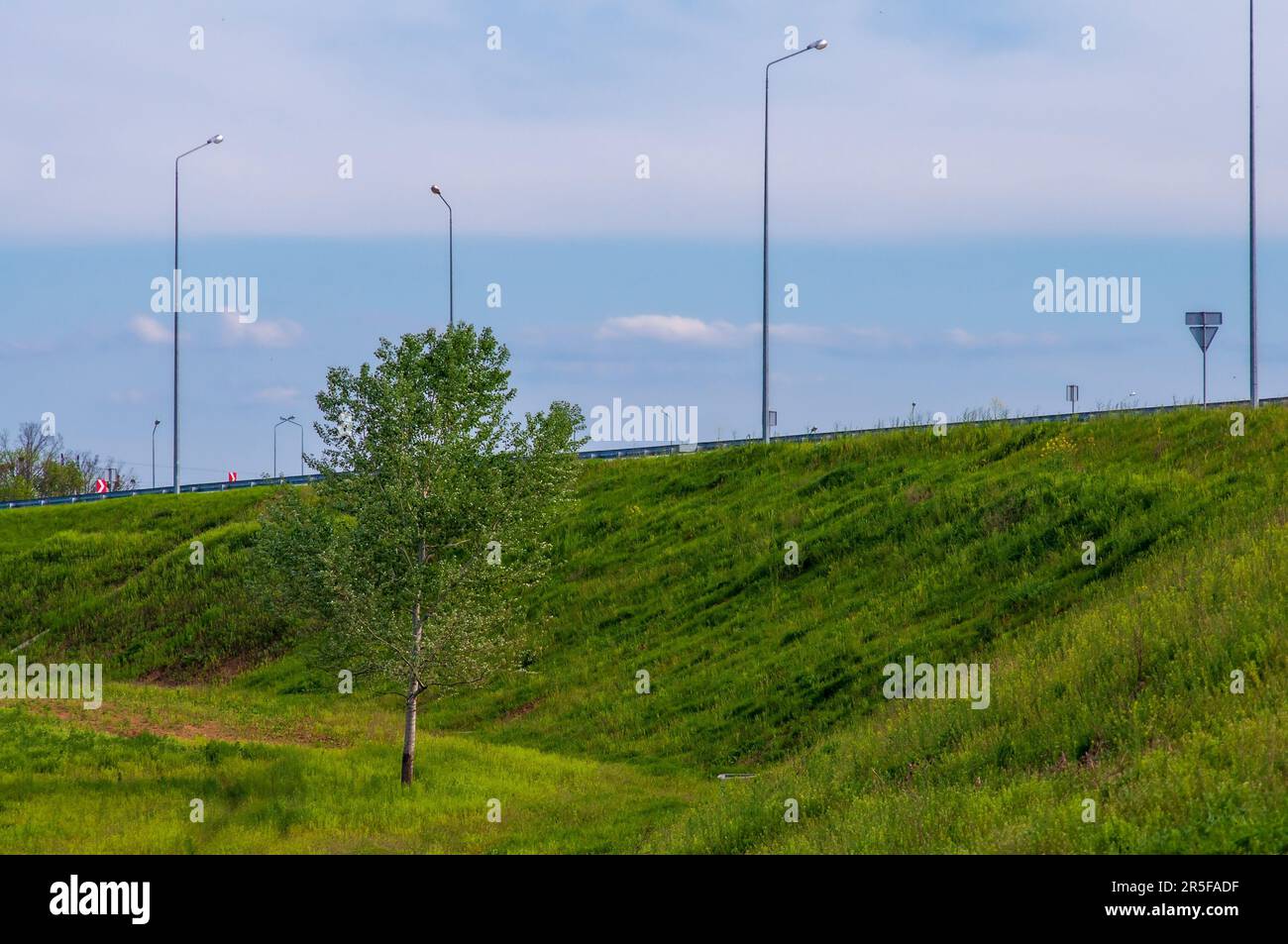 Overgrown roadside with green grass. Road junction turn from the side ...