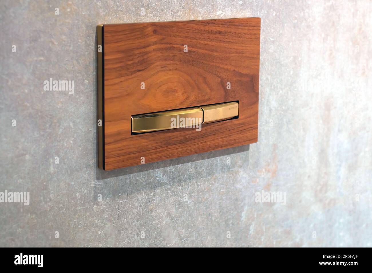 Button for wall-hung toilet installation, wood texture imitation with ...