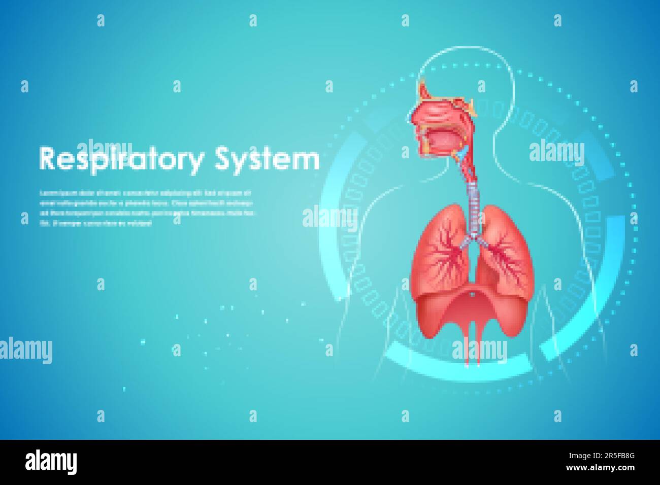 Healthcare and Medical education drawing chart of Human Respiratory ...