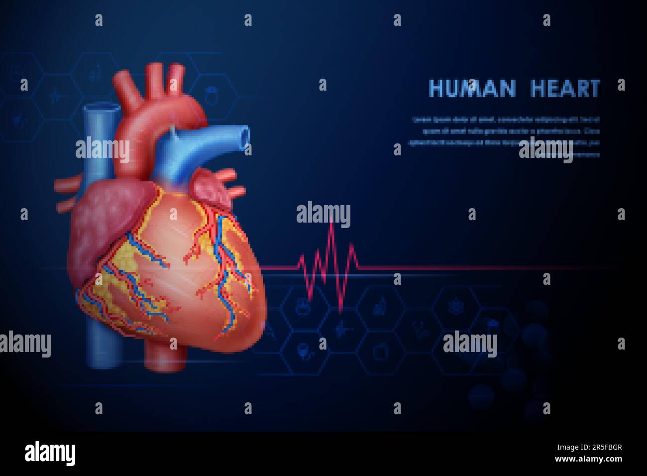 Healthcare and Medical education drawing chart of Human Heart anatomy ...