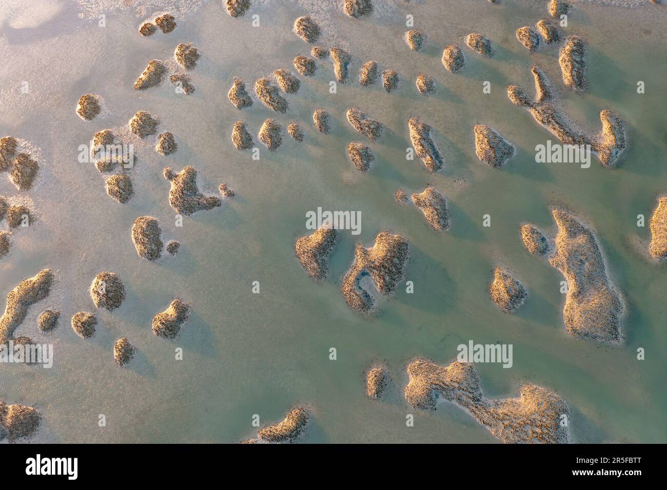 Sunset on Pinckney Island, a small nature reserve in South Carolina ...