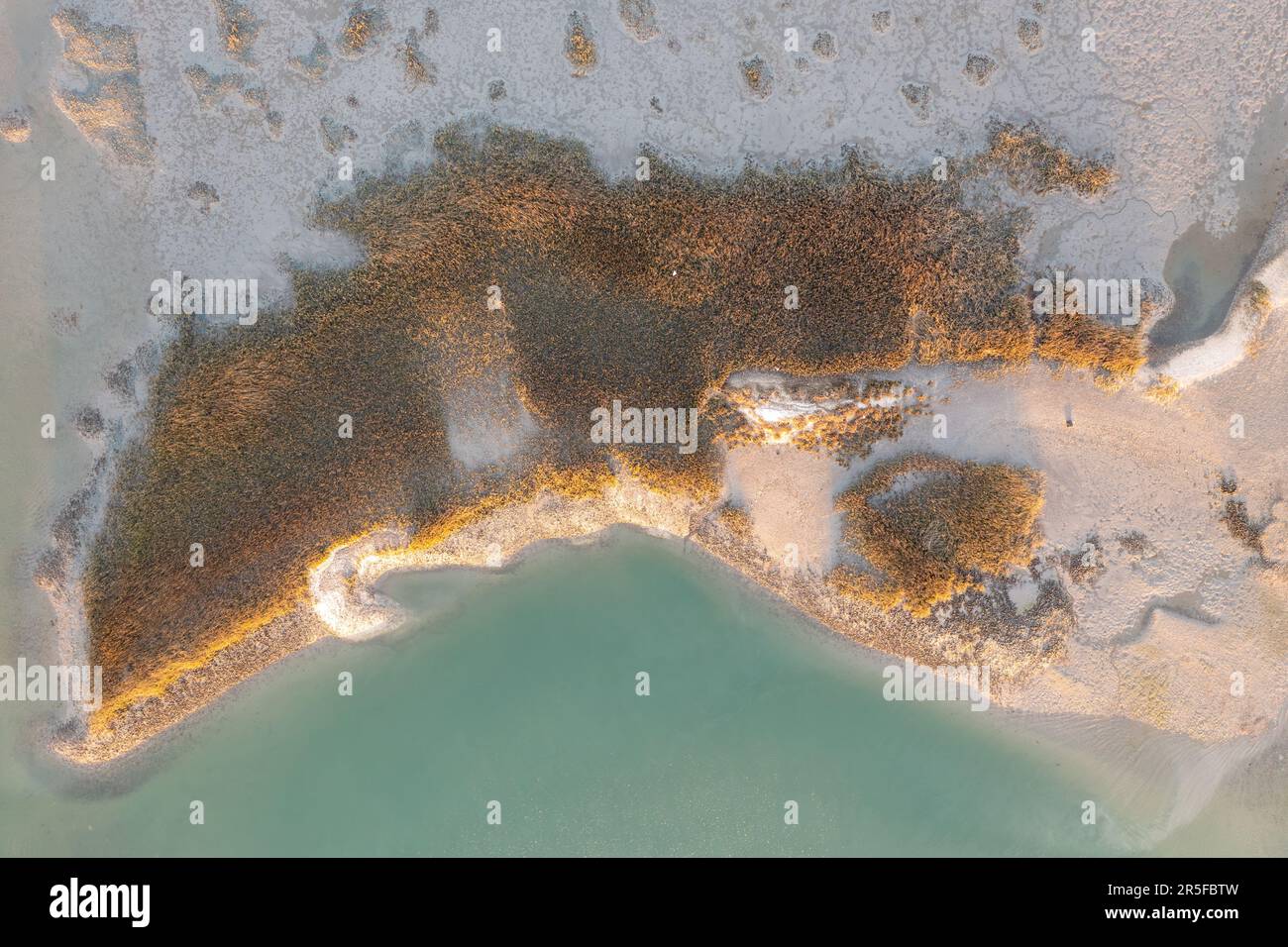 Sunset on Pinckney Island, a small nature reserve in South Carolina ...
