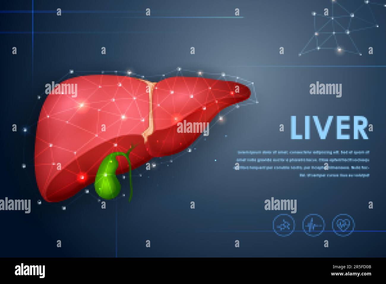 Human Liver Diagram Drawing