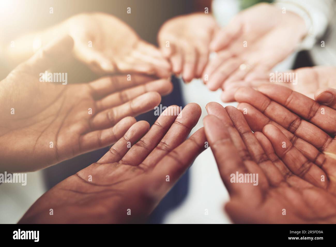 Your support would be highly appreciated. Closeup shot of a group of ...