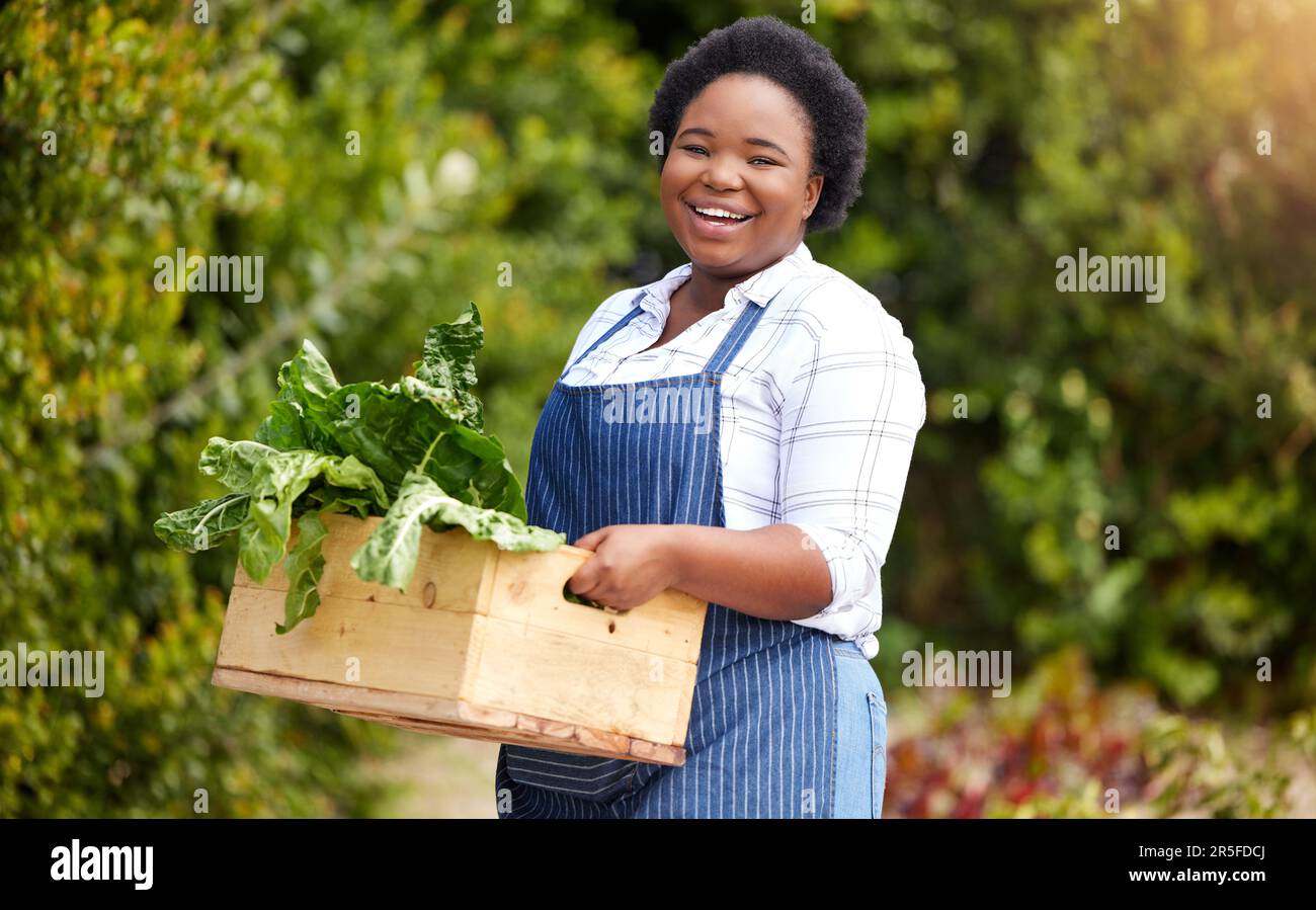 Farm, agriculture and portrait of black woman with basket of vegetables ...