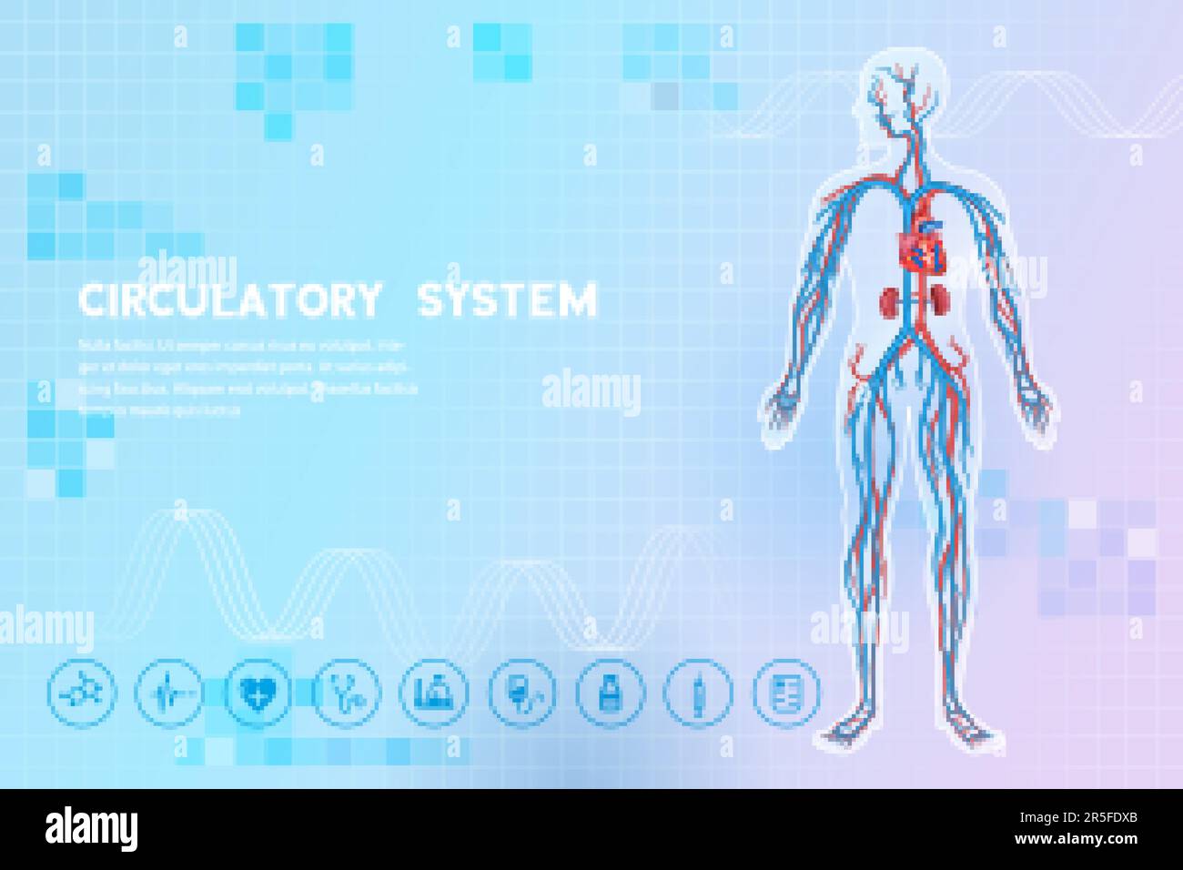 Healthcare and Medical education drawing chart of Human Circulatory ...