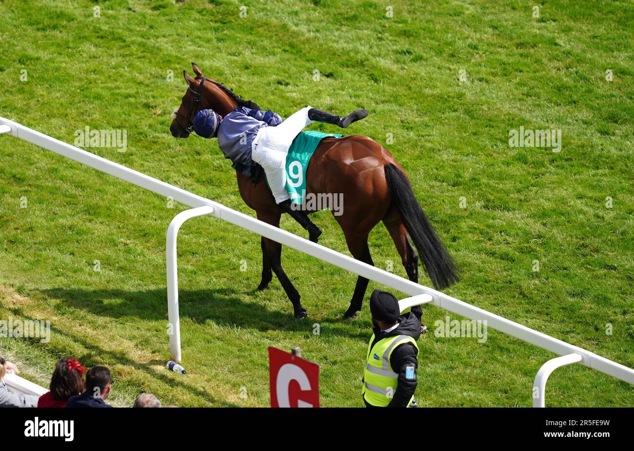 Don't go martin hi-res stock photography and images - Alamy